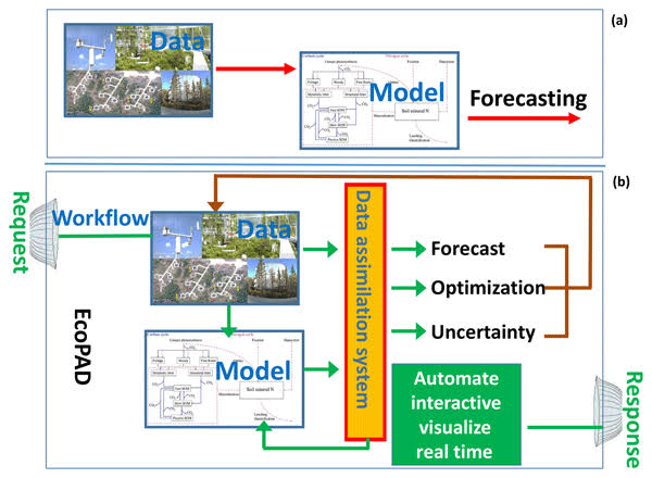 Ecological Modeling And Forecasting - ClassNotes.ng