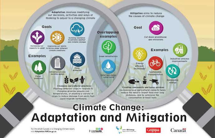 Climate Change Adaptation And Mitigation - ClassNotes.ng