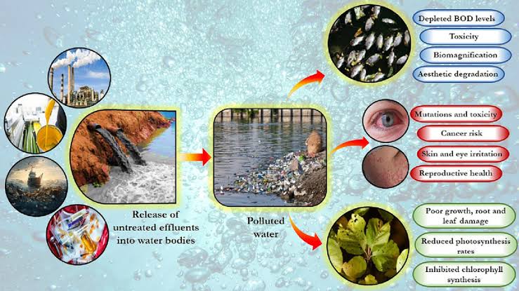 Water Pollution & Aquatic Toxicology - ClassNotes.ng