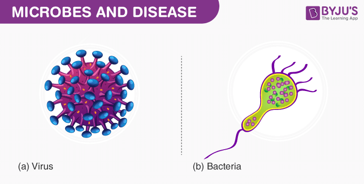Microorganisms And Disease - ClassNotes.ng