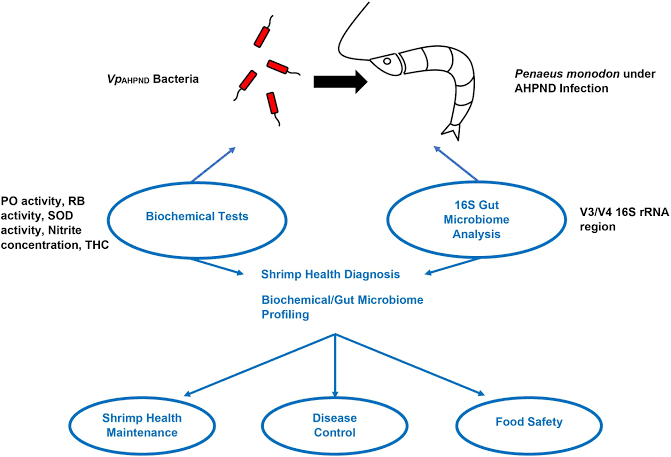Detection And Control Of Waterborne Pathogens - Class Notes