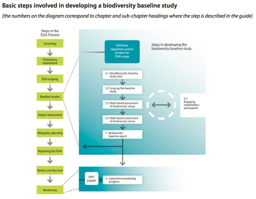Baseline Environmental Studies - ClassNotes.ng