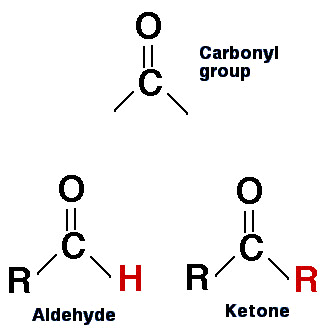 Functional Groups II: Aldehydes, Ketones - Class Notes