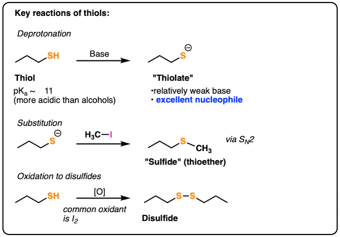 Functional Groups II: Ethers And Thiols - ClassNotes.ng